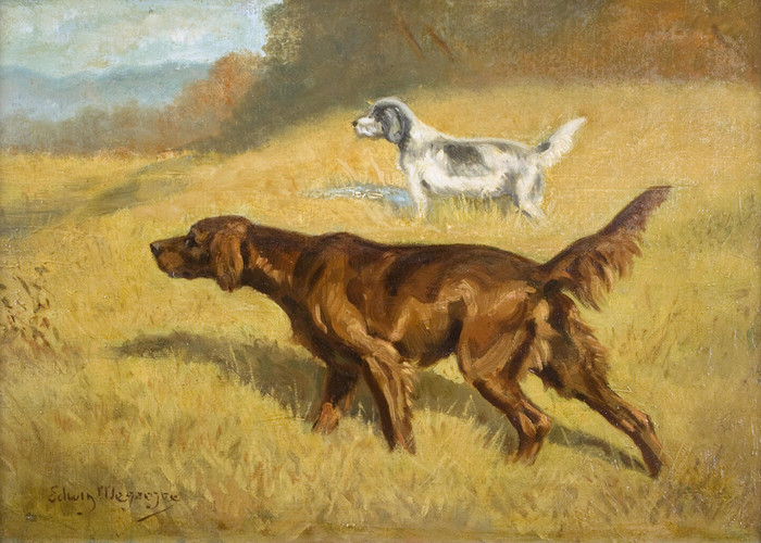 Art Prints of An Irish & English Setter Working a Field by Edwin Megargee