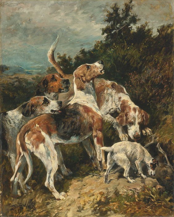 Art Prints of Gone to Ground by John Emms