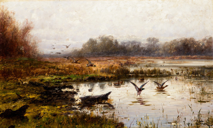 Art Prints of Mallards by John Fery