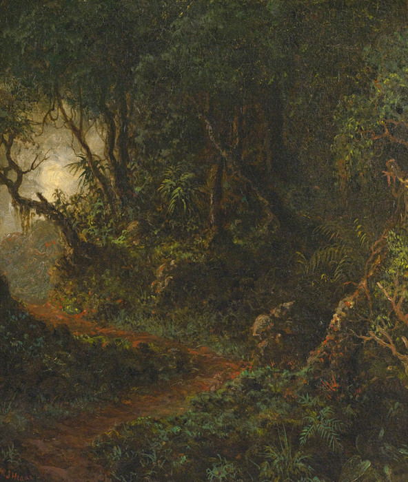 Art Prints of Tropical Greenery by Martin Johnson Heade