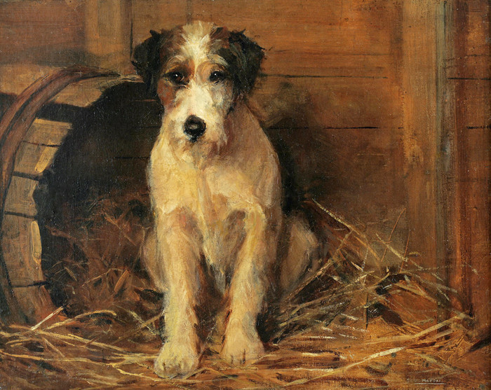 Art Prints of Portrait of a Dog by Samuel Fulton