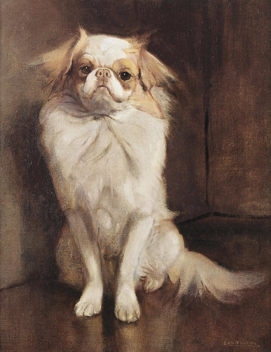 Art Prints of Portrait of a Japanese Chin by Samuel Fulton