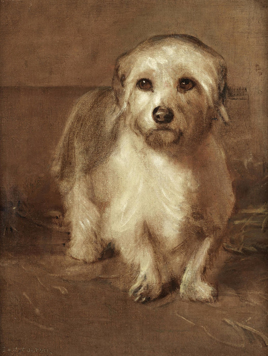 Art Prints of A White Terrier by Samuel Fulton