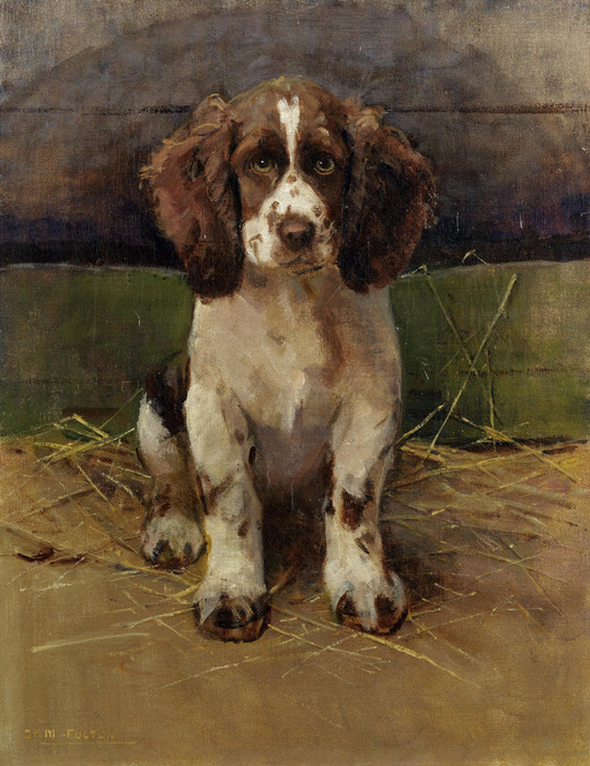 Art Prints of Nancy, a Springer Spaniel by Samuel Fulton