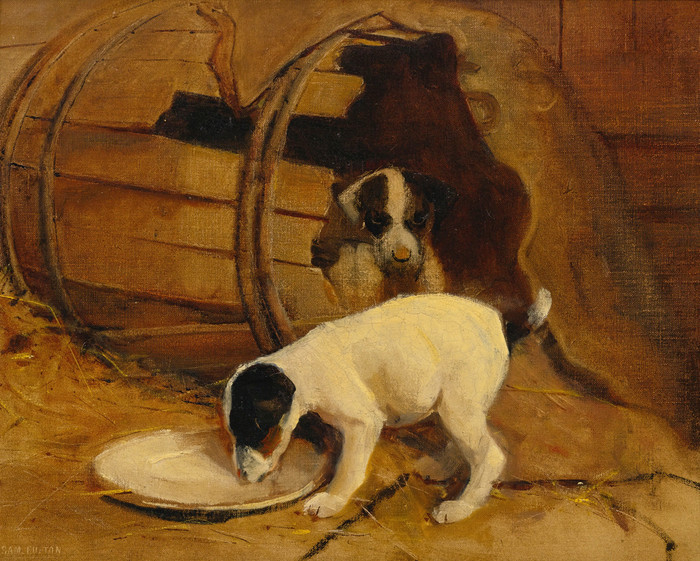 Art Prints of Puppies by Samuel Fulton