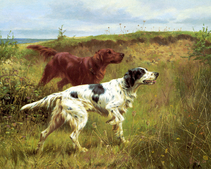 Art Prints of Steady by Thomas Blinks