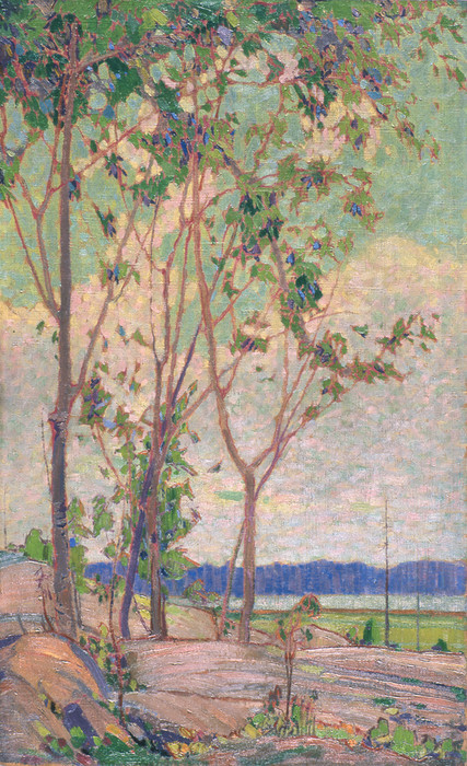 Art Prints of A Spring Decoration by Tom Thomson