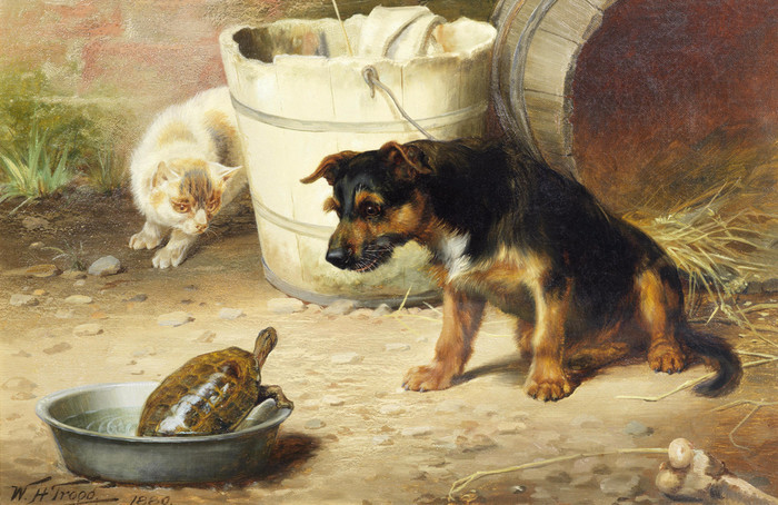 Art Prints of An Unwelcome Guest by William Henry Hamilton Trood