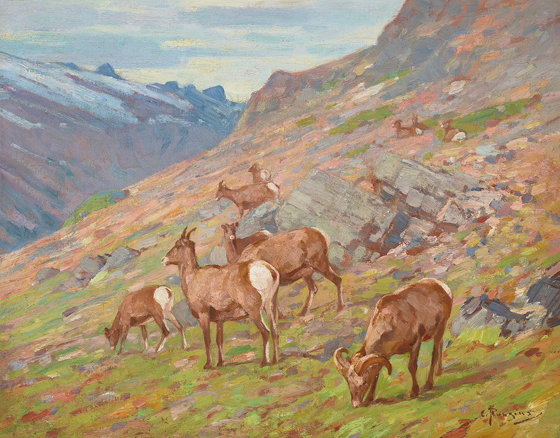 Art Prints of In the Open by Carl Rungius