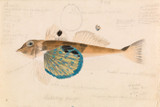 Arthur Bartholomew Art Prints | Canvas, Paper & Poster