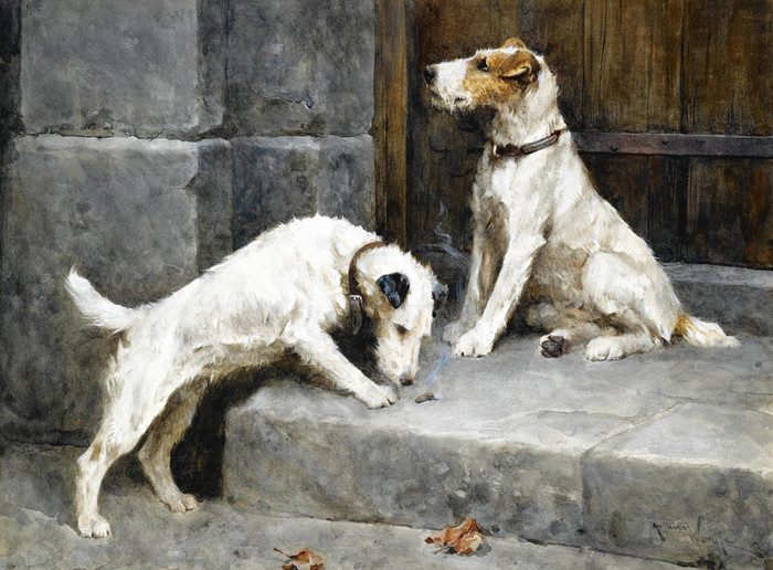 Art Prints of Scent on the Breeze by Arthur Wardle