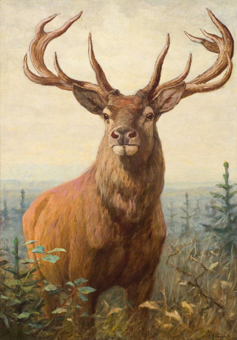 Art Prints of Pack Horse by Carl Rungius