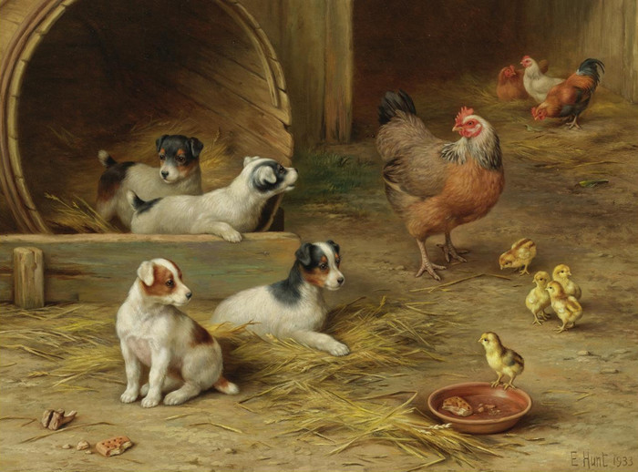 Art Prints of Puppies & Pigeons by Edgar Hunt