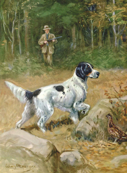 Art Prints of English Setter by Edwin Megargee