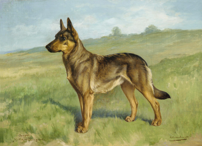 Gustav Muss-Arnolt Art Prints | Canvas, Paper & Cards