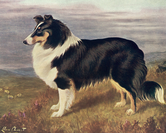 Art Prints of The Best of Friends by Lilian Cheviot