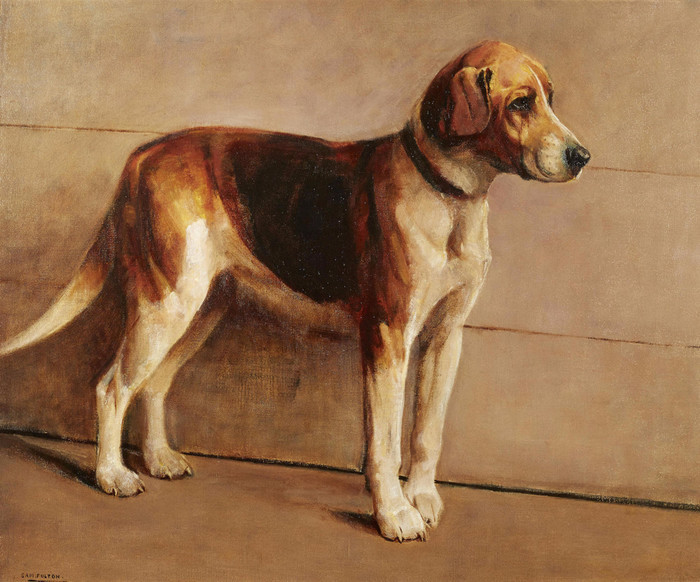 Art Prints of A Fox Terrier in Front of a Kennel by Samuel Fulton