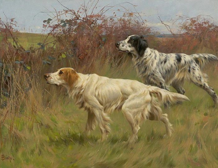 Art Prints of Two English Setters on Point by Thomas Blinks