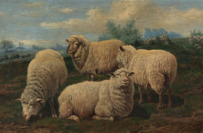 Art Prints of Sheep Reposing by Arthur Fitzwilliam Tait
