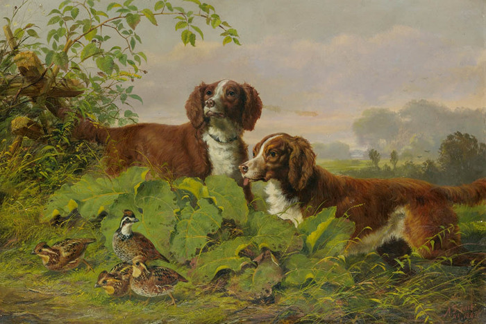 Art Prints of Quail & Young by Arthur Fitzwilliam Tait