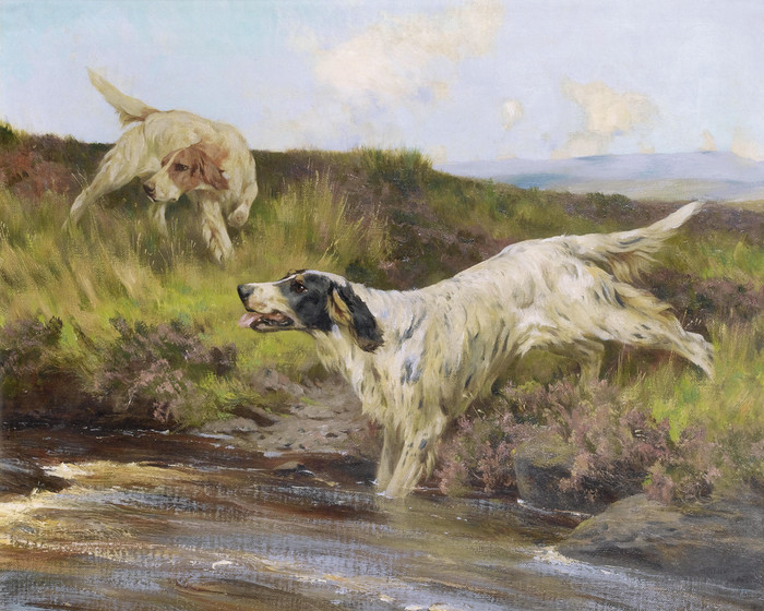 Art Prints of Leopards on the Lookout by Arthur Wardle