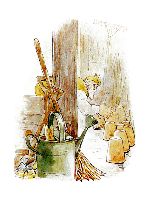 Art Prints of Peter Watches McGregor Hoe Onions by Beatrix Potter