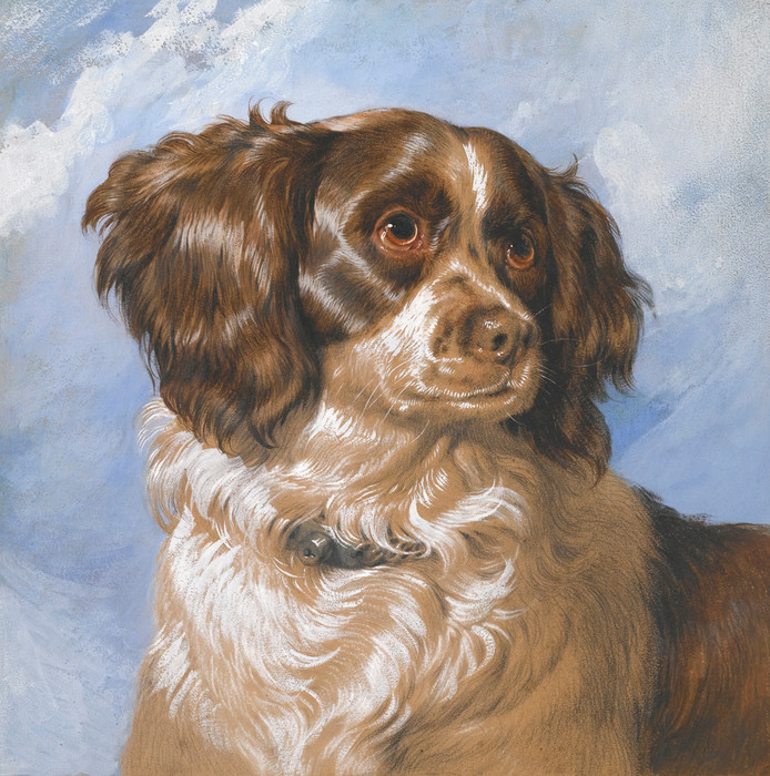 Art Prints of The Hawk Trainer by Edwin Henry Landseer