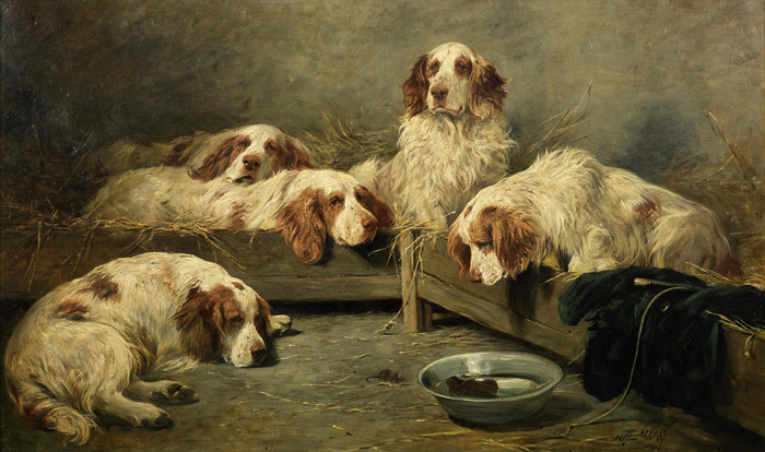 Art Prints of Clumber Spaniels in a Kennel by John Emms