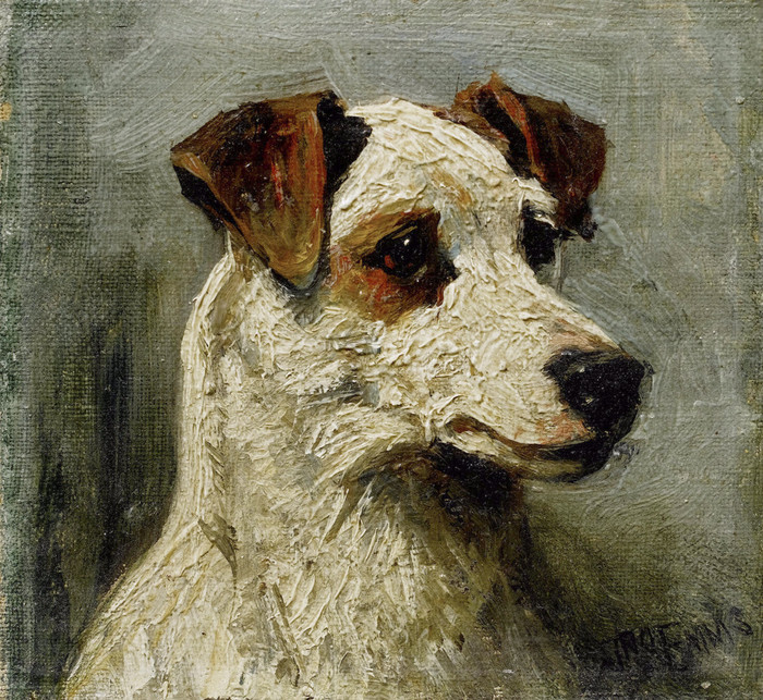 Art Prints of Study of a Terrier by John Emms