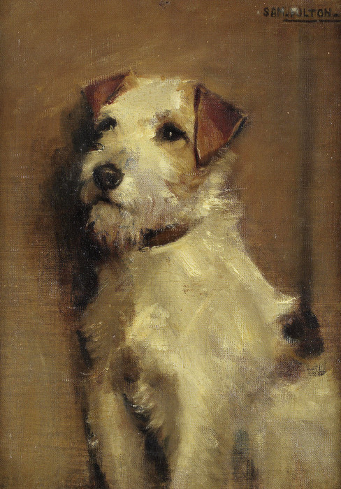 Art Prints of Monty, Skye Terrier by Samuel Fulton