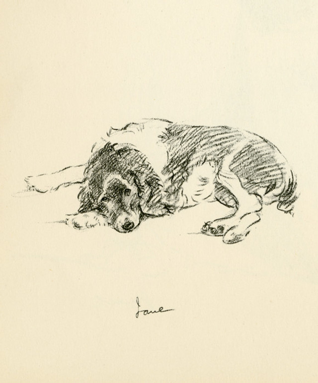 Art Prints of The Answer by Jane Peterson