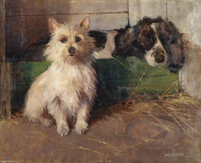 Art Prints of Portrait of a Cocker Spaniel by Samuel Fulton