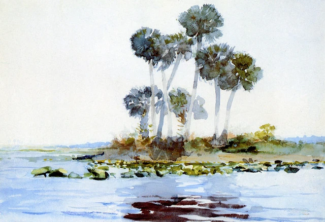 Art Prints of Homosassa River by Winslow Homer