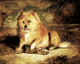 Art Prints of Falcon by Edwin Henry Landseer