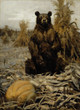 Art Prints of A Bear Chance by Philip Goodwin