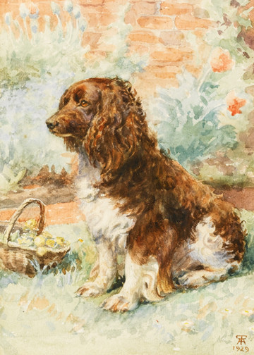 Art Prints of Head of a Springer Spaniel, English Continental School
