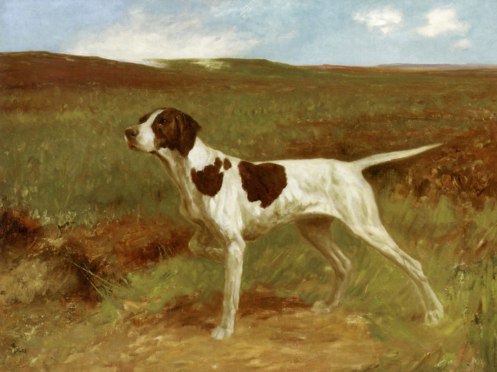 Art Prints of A Pause During the Hunt by Thomas Blinks