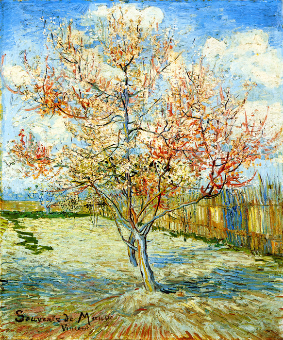 Art Prints of Almond Tree in Blossom by Van Gogh