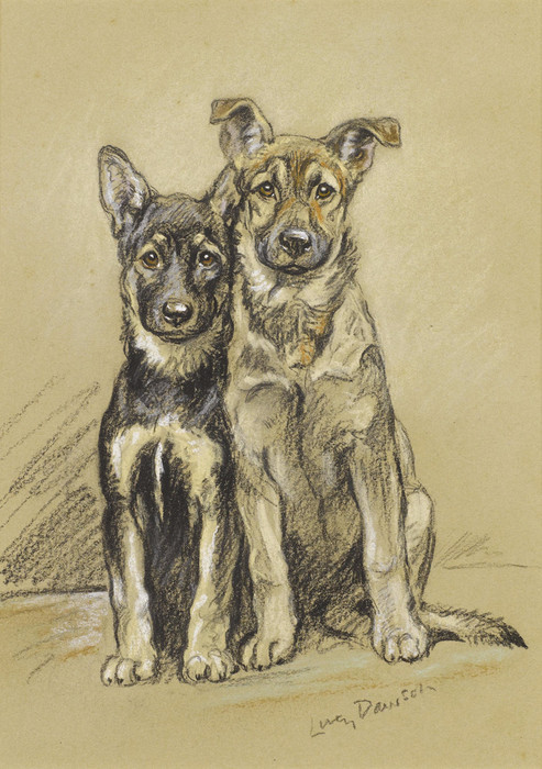 Art Prints of Julie & Sandy Alsatian Puppies by Lucy Dawson