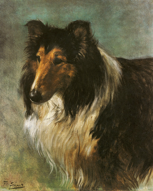 Art Prints of Champion Collie Seedley Sterling by Ferdinand Sinet