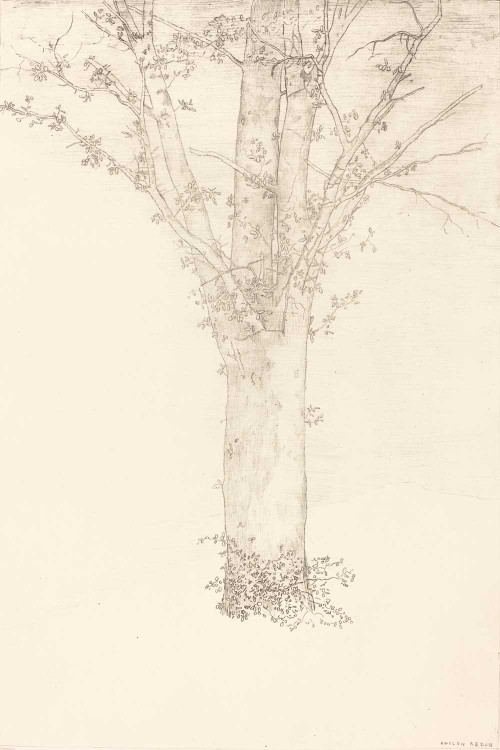 Art Prints of Tree, 1892 by Odilon Redon