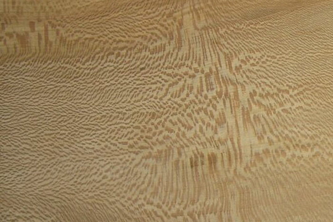 Wood Blanks for your project individually photographed