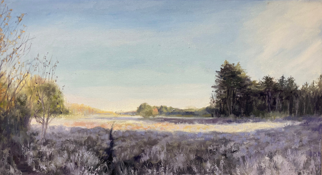 Horsell Common Surrey Heathland in the frost painting