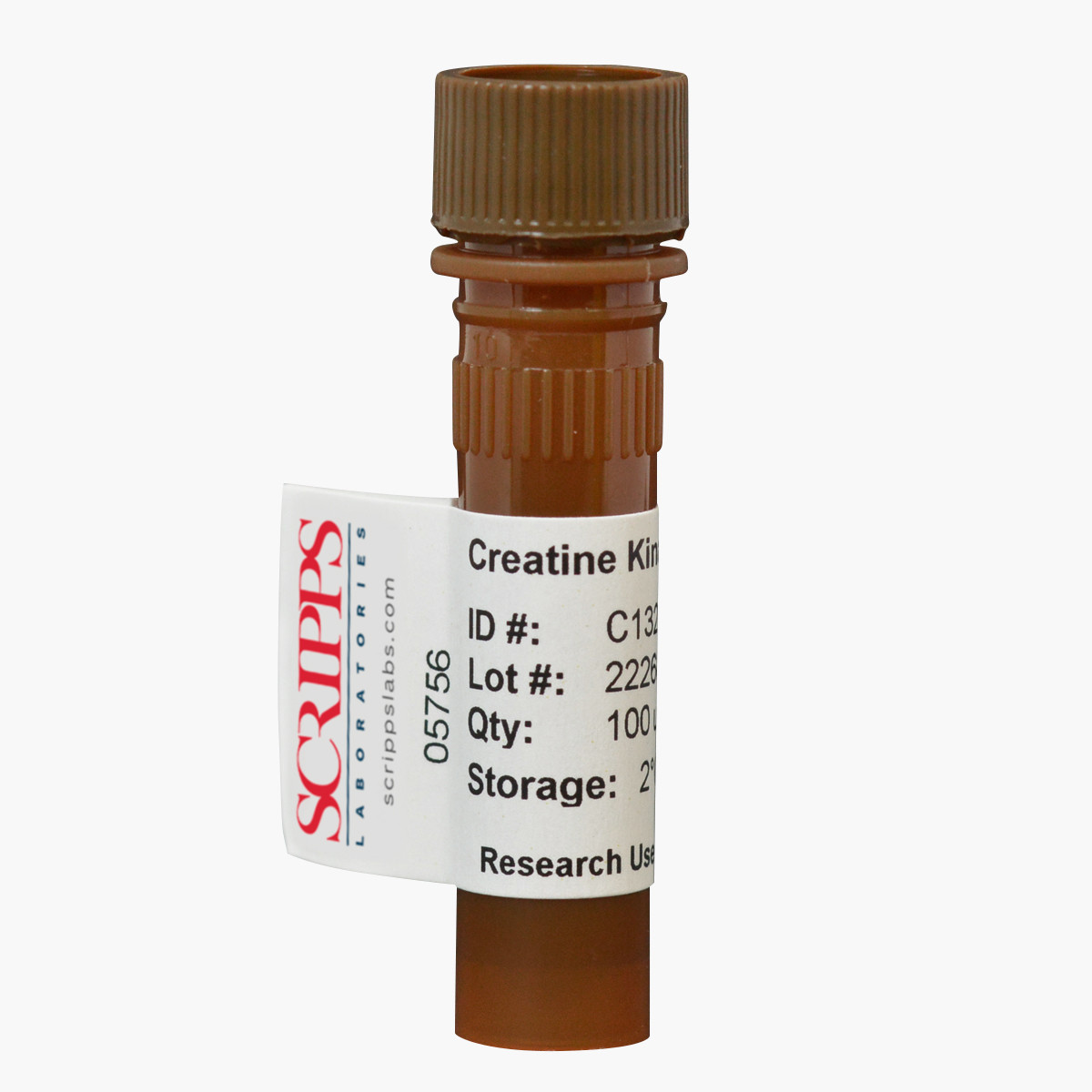 Creatine Kinase MM (CK-MM) - scrippslabs.com