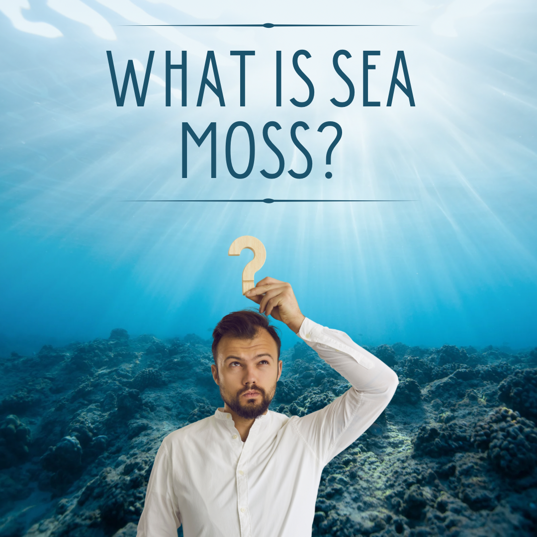 Exploring the Marvels of Sea Moss: A Nutrient-Rich Oceanic Gem - Moss ...