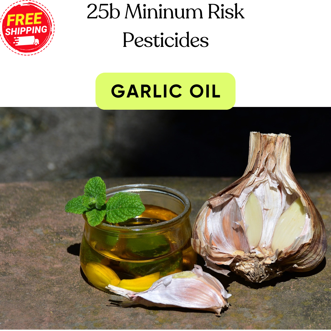 Garlic Essential Oil Wholesale All Natural Steam-distilled