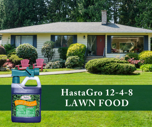 Hasta Gro Lawn 12-4-8 Liquid Lawn Food - Formulated for All Lawns and ...