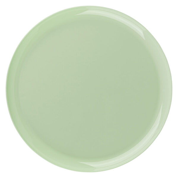 Edge Collection Mint Green 10.6" Plates (10 Count) - Never Wash A Dish