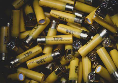 The price and payout of TSS - Is it really worth the price? - One Force ...