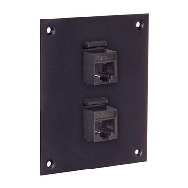 Universal Sub-Panel, 2 Category 5e Couplers, RJ45 Straight Thru ...